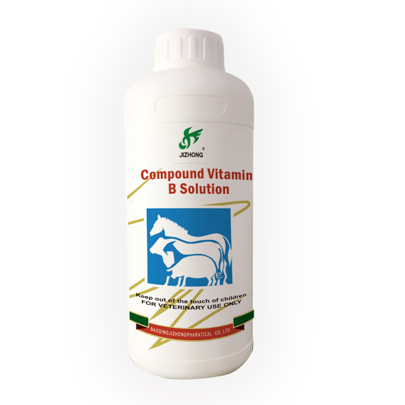 China Compound Vitamin B Oral Solution Manufacture and Factory ...