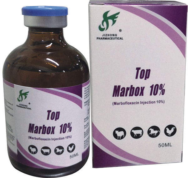 China MARBOFLOXACIN INJECTION 10% Manufacture and Factory | Teamtop ...